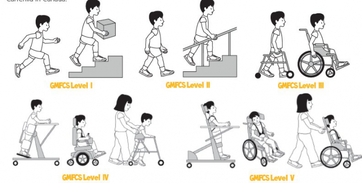 Gross Motor Function Classification System – Expanded and Revised ...